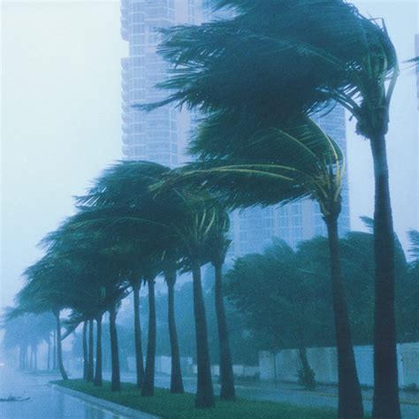 Windstorm Preparedness Nathaz Toolkit Fm