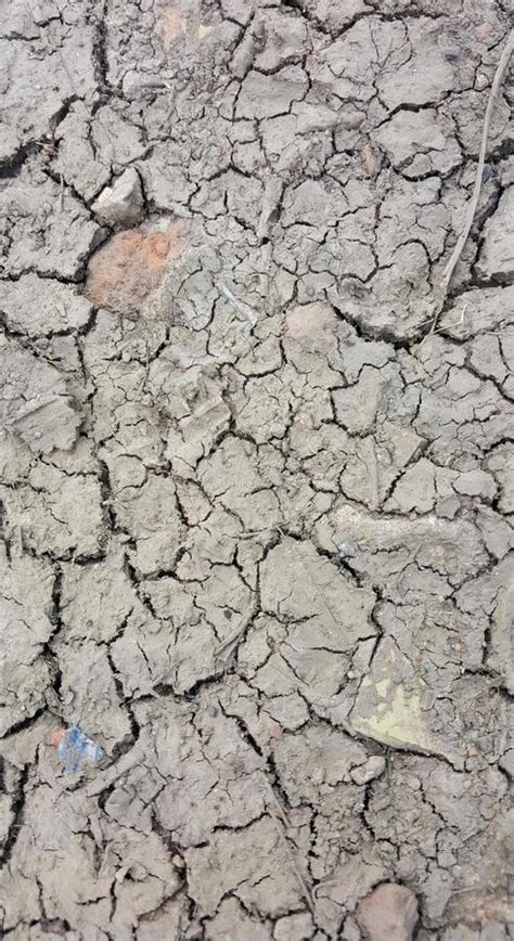 A Photography Of A Dirt Ground With A Small Patch Of Grass Sand Barbs