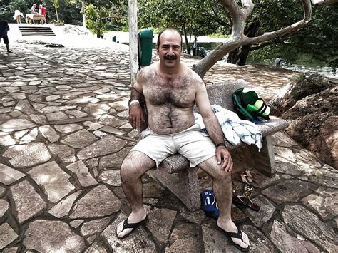 Orient Bear Porn Pictures Xxx Photos Sex Images 2077748 Pictoa