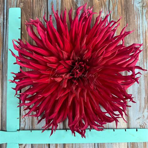 Taum Sauk Rainysunday