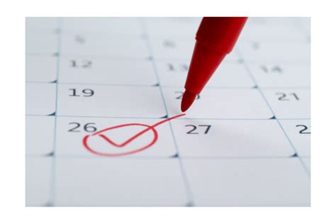 Executive Functioning Coaching