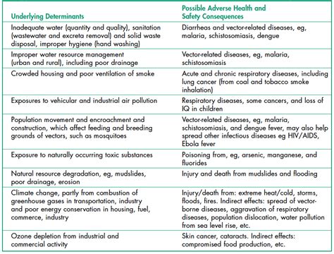 62 Environmental Health Environmental Issues
