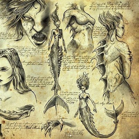 Siren Drawing At Explore Collection Of Siren Drawing