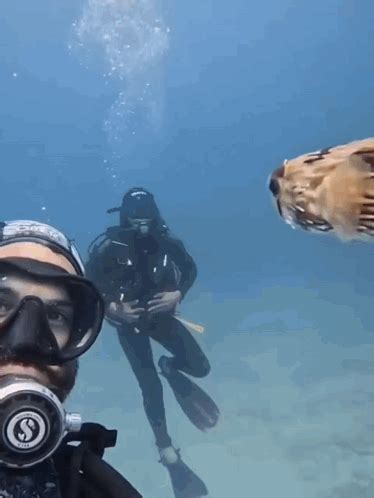 Underwater Ocean Core  Underwater Ocean Core Meme Ищите 