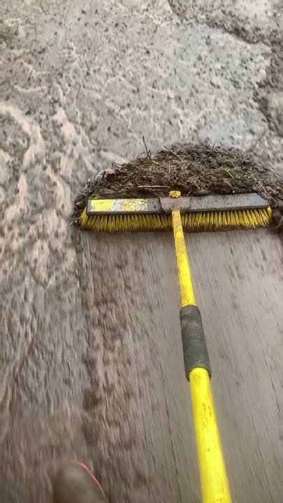 Brusing Time Shorts Youtube