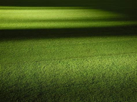 Passion Predict Predictztoday