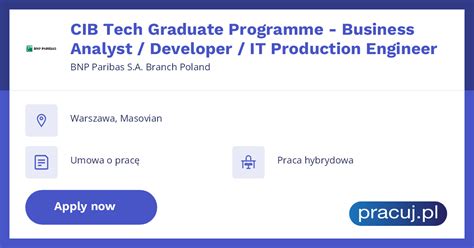 Oferta Pracy Cib Tech Graduate Programme Business Analyst Developer