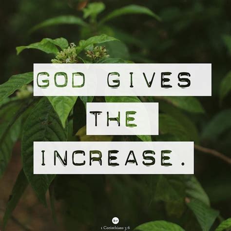 God Gives The Increase Inspirational Religious Quote