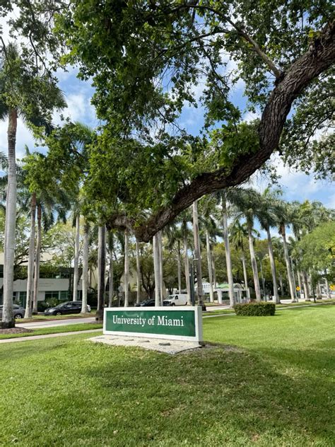 Best 13 University Of Miami Artofit