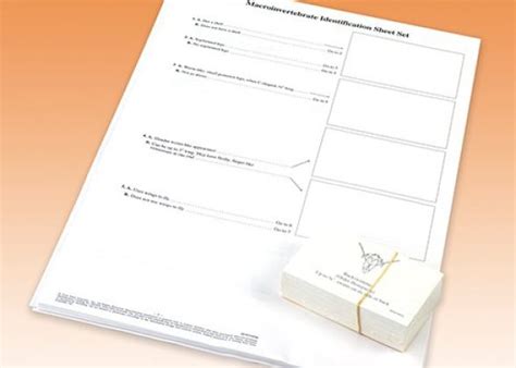 Macroinvertebrate Identification—super Value Kit