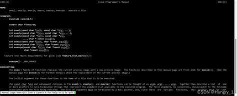 Linux进程程序替换 Csdn博客