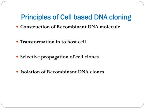 Ppt Cell Based Dna Cloning Powerpoint Presentation Free Download Id 9404835