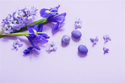 Easter Eggs With Spring Flowers Stock Image Image Of Flower Flowers