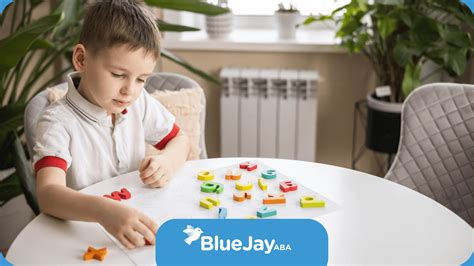 Aba Therapy Explained Dri Vs Dro Vs Dra Blue Jay Aba