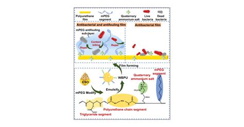 Antibacterial And Antifouling Biobased Waterborne Polyurethane Prepared From Amphiphilic Plant