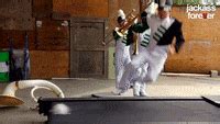 Jackass 3 