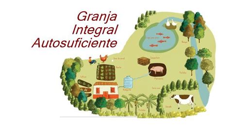 Diseño De Granja Integral Autosuficiente Infoagronomo
