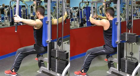 Peck Deck The Optimal You Online Personal Trainers And Holistic Nutrition
