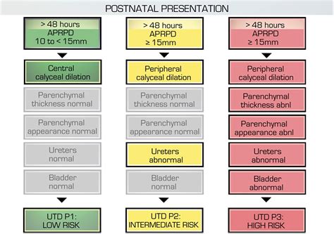 Ureteropelvic Junction Obstructionhydronephrosis Urologic Clinics