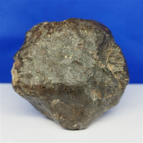Authentique MÉtÉorite Pierreuse Nwa 869 Chondrite Bréchique L3 6