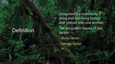 Ecosystem Notes Pptx