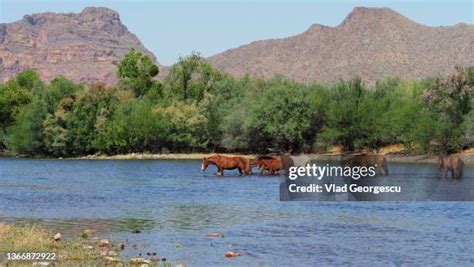 Salt River Pima Maricopa Indian Community Of The Salt River Reservation