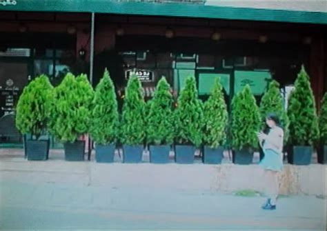 무빙 정주행 끝 연예인잡담 에펨코리아