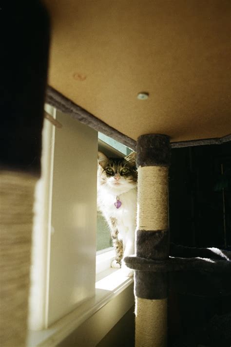 Theo And Pixie R Awwnalog