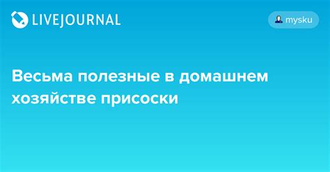 Весьма полезные в домашнем хозяйстве присоски Mysku — Livejournal