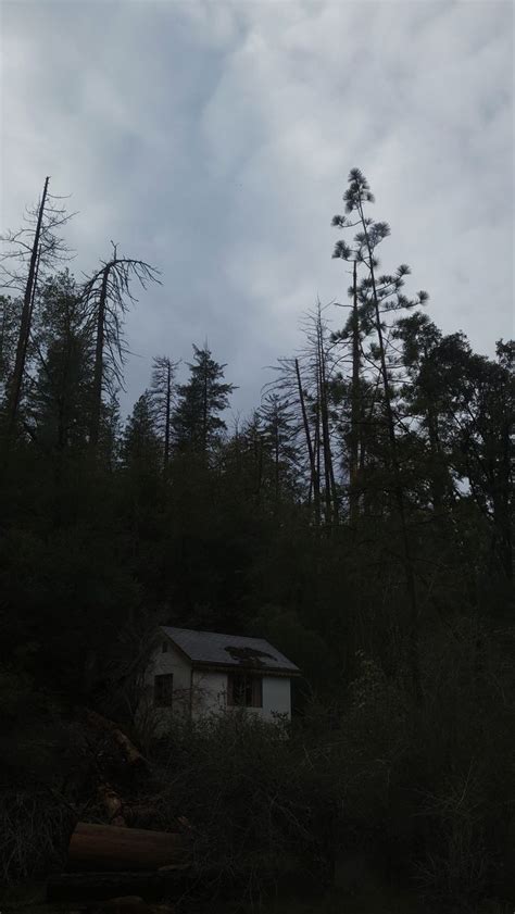 Moody Dark Cabin In The Woods Photography Woods Photography Scary