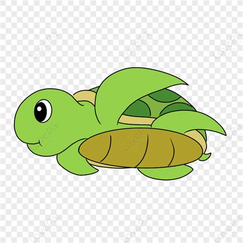 손으로 그린 만화 거북이 일러스트 클립 아트아름다운수영 Png 일러스트 무료 다운로드 Lovepik