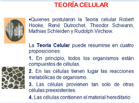 Biologìa Celular Teoría Celular