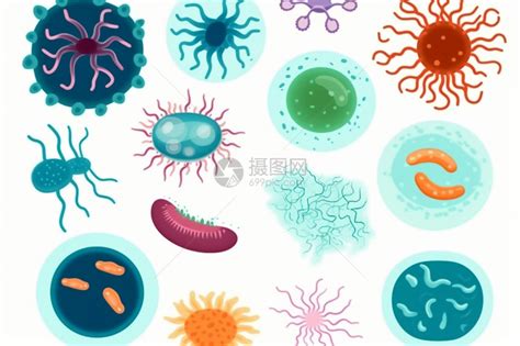 微生物插图插画图片下载 正版图片600190518 摄图网