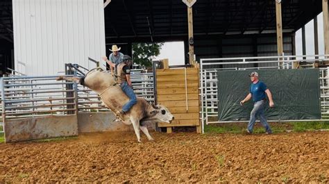 Tracy Surles Cutting Horses The Girls Made A Clean Sweep Today At The