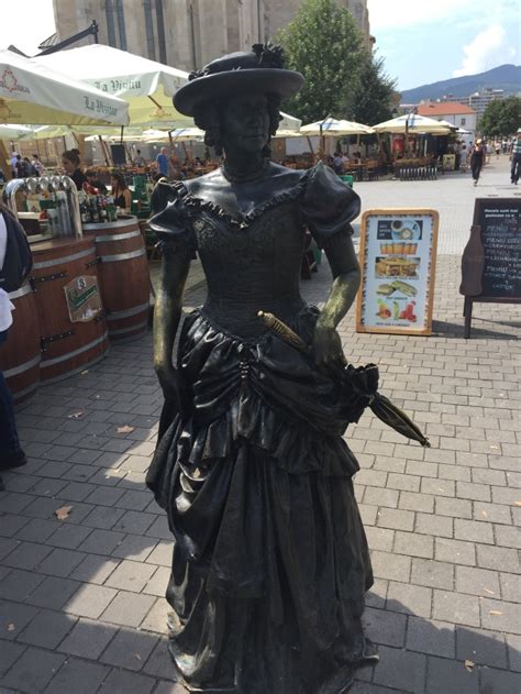 Alba Iulia Cetate Just Reading My Books