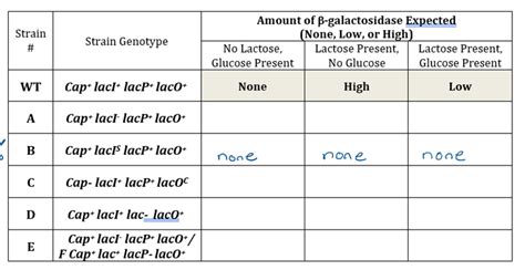 Solved A Variety Of Different Mutations Have Been