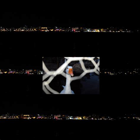 Panophobia Behance Behance