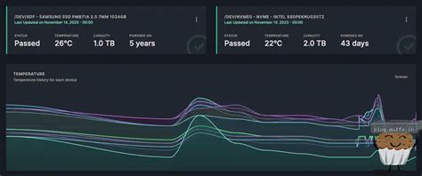 Part 3 Designing And Deploying Mans A Hybrid Nas Approach With Snapraid Mergerfs And Openzfs