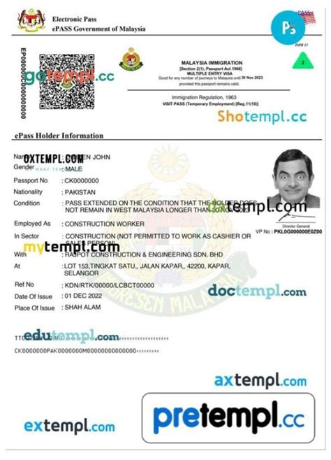 Malaysian E Pass Multiple Entry Visa Psd Example Completely Editable