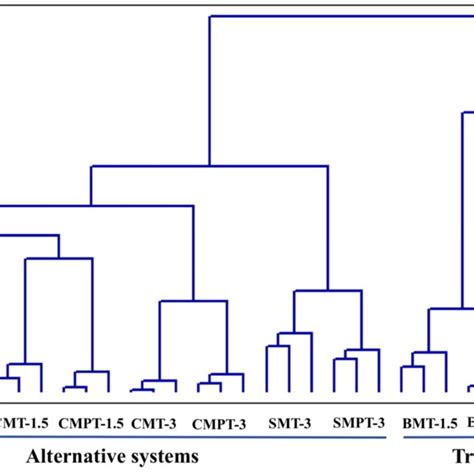Cluster Analysis Using As Variables All Volatile Compounds Identified
