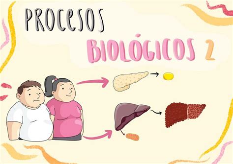 Procesos Biológicos 2 Emi Sanchez Fong Udocz