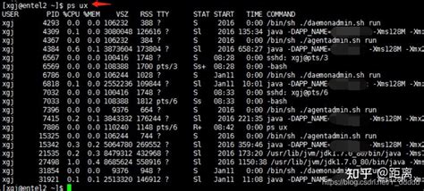 用 Kill”命令来强制终结某个行为或失常的应用和命令 知乎