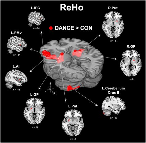 Frontiers Trait Representation Of Embodied Cognition In Dancers