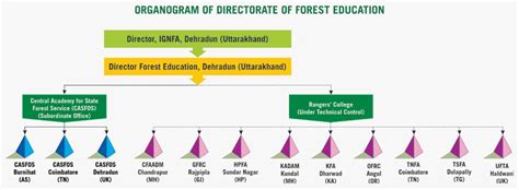 Organisation Chart Directorate Of Forest Education