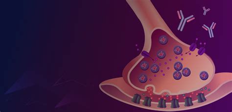 Nccn Guidelines Support Goserelin For Ovarian Suppression In Breast Cancer Cancernetwork