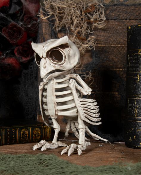 Owl Skeleton As Halloween Decoration 175cm Order Now Karneval