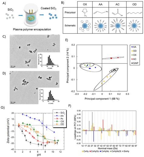 Characterization Of Ppsinps A Schematic Of The Surface Modification