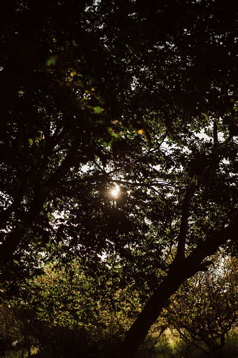 Desktop Wallpaper Aesthetic Green Y2k Photos Download The Best Free