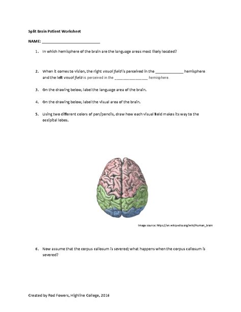 Split Brain Worksheet Motes Split Brain Patient Worksheet Name