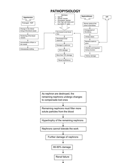 Pathopysiology Ernan Pdf